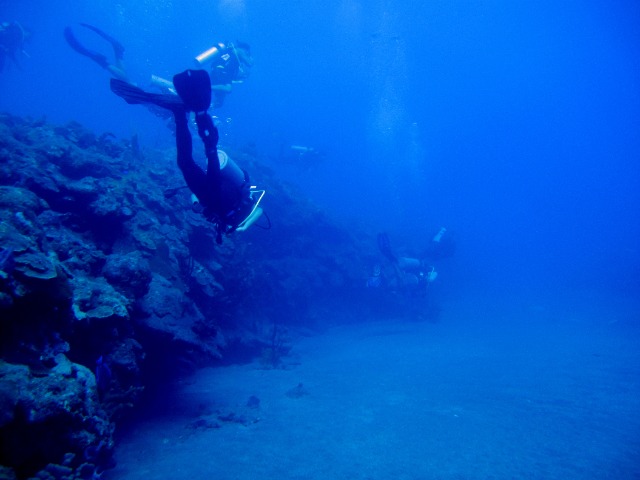 Saba Diving