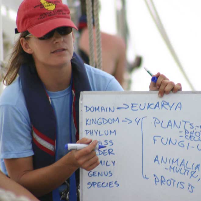 Discover your passion for learning - Sea|mester Academics