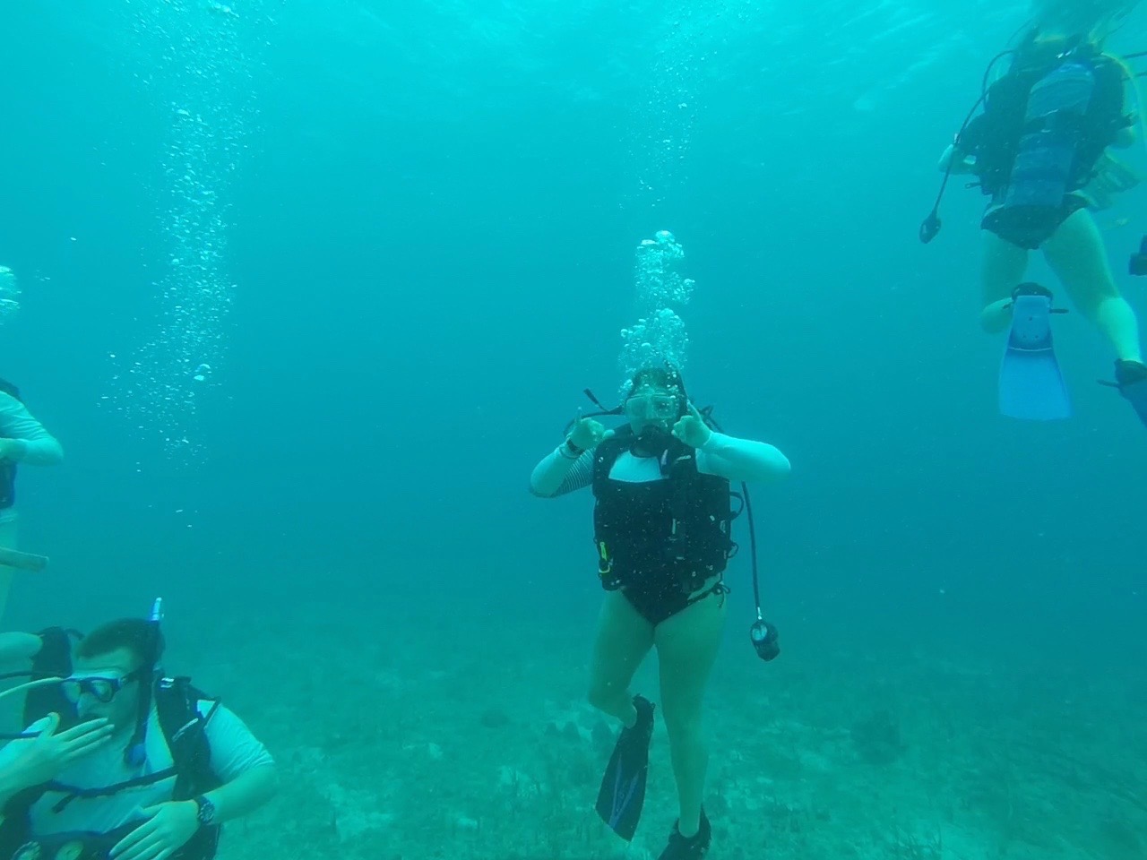 Diving in Saba and Setting Sail Back to the British Virgin Islands