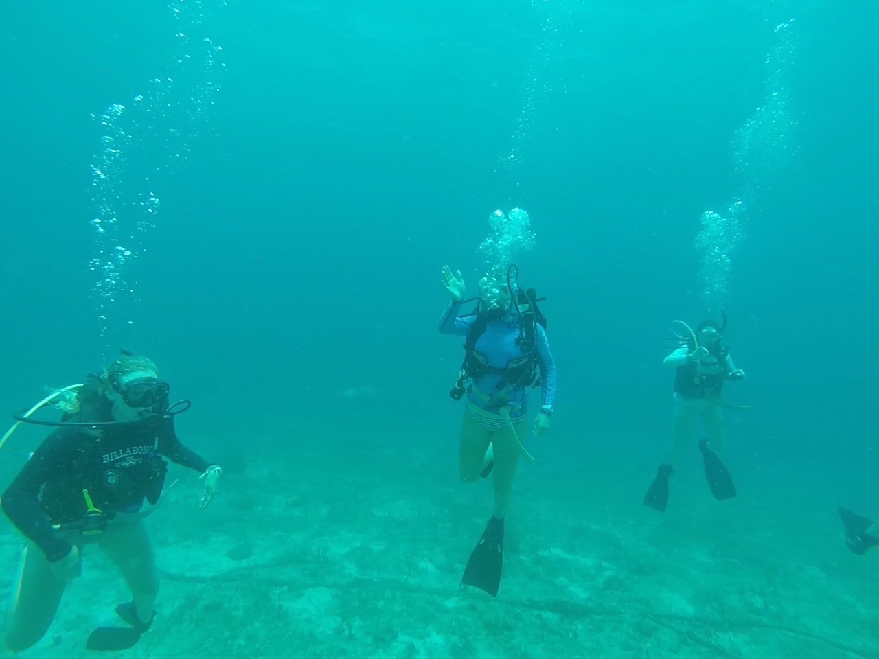 Diving in Saba and Setting Sail Back to the British Virgin Islands